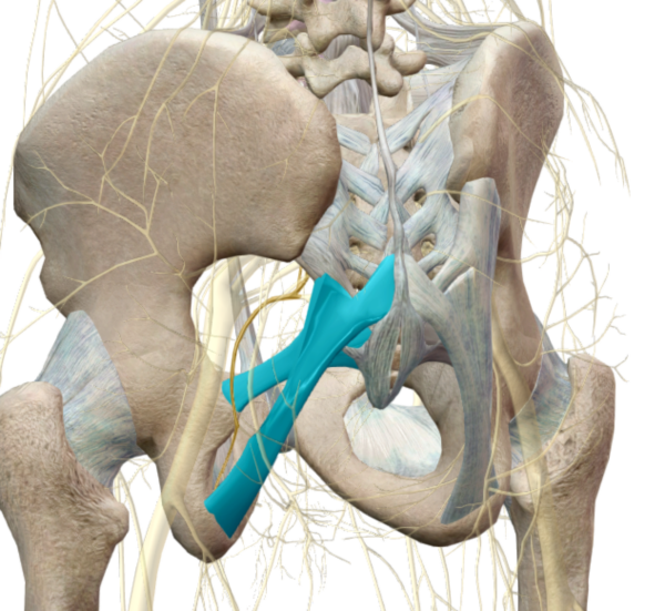 Florian Gaubert - La névralgie pudendale